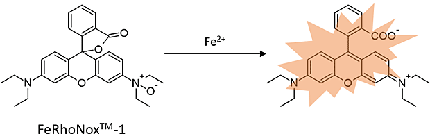 FeRhoNox™-1 – Goryo Chemical