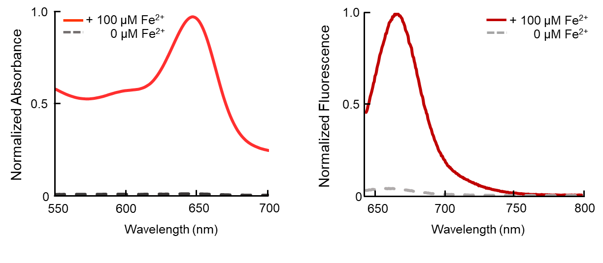 FerroFarRed™ Labile ferrous ion detecting probe | Goryo Chemical, Inc.